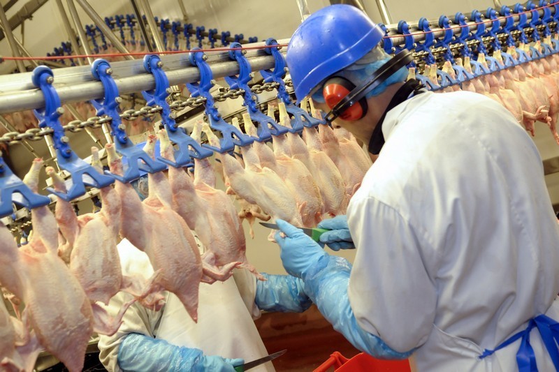 Avara takes over from 2 Sisters as Tesco's biggest chicken supplier ...