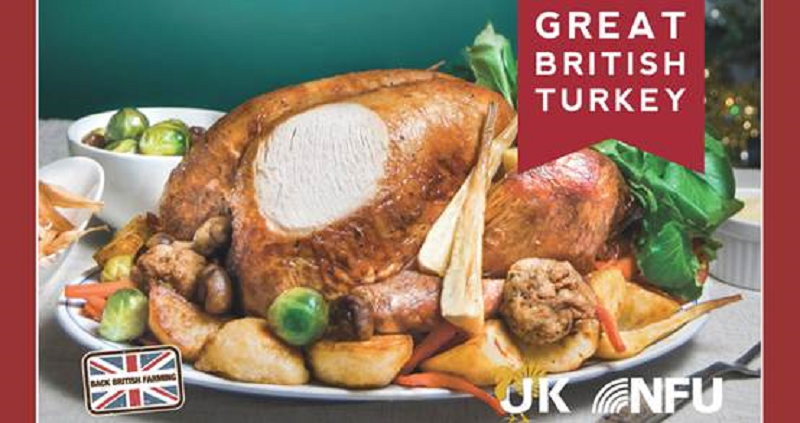 Turkey farmers in marketing push to promote British birds - Poultry News