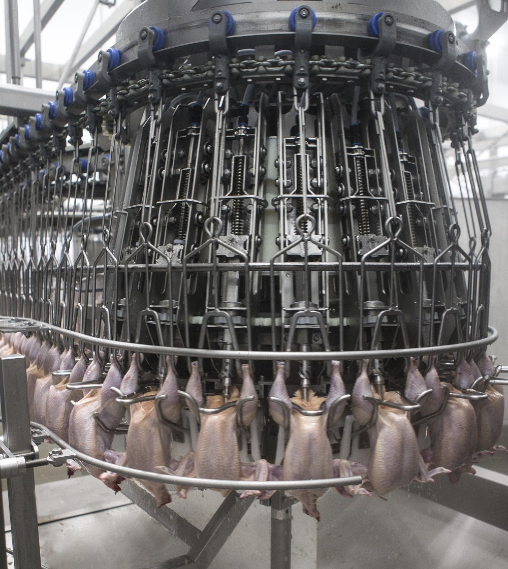 New vent cutter offers hygiene and precision - Poultry News