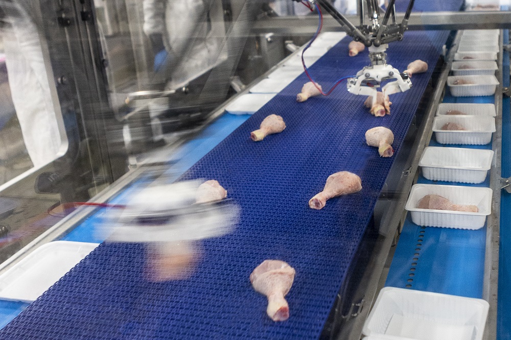 Marel Poultry invests in research program to develop intelligent robots - Poultry News