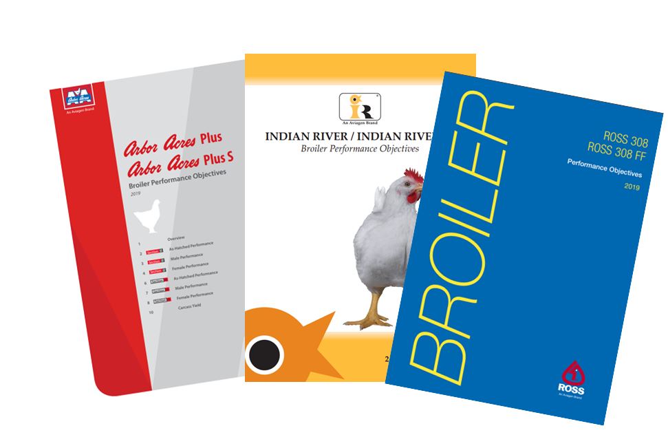 New broiler performance objectives released by Aviagen - Poultry News