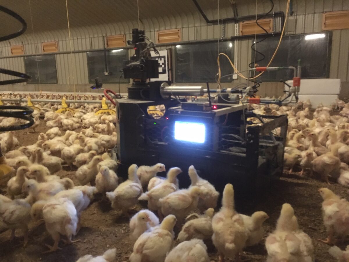 New funding for automation and robotics - Poultry News