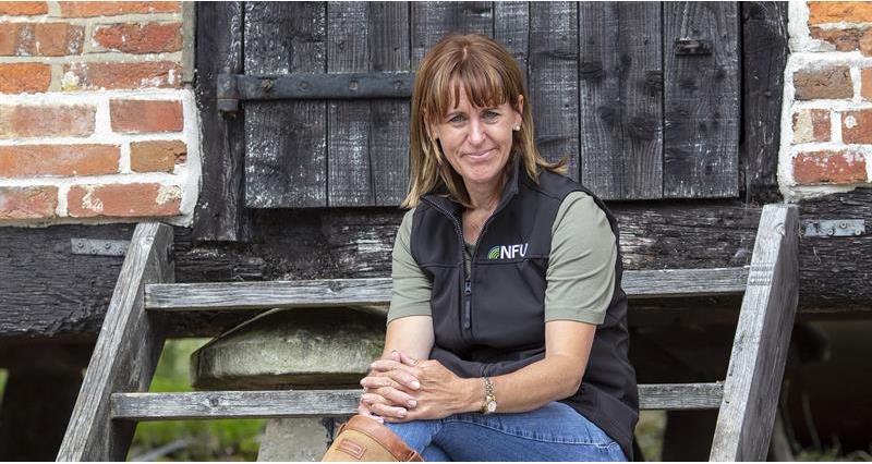 Farmers argue future climate policy must support British farming’s net ...