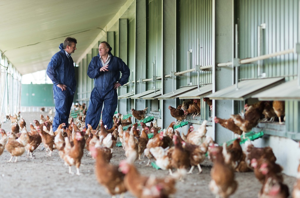 Exclusive interview: Inside Chippindale Foods - Poultry News