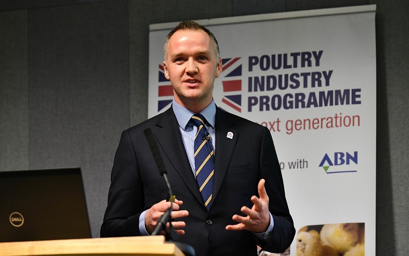 Sales and profits up at PD Hook Breeders - Poultry News