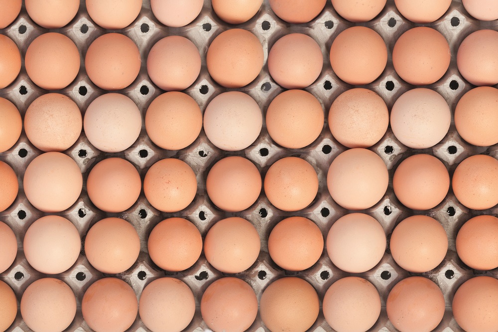 Analysis: Cracking down on the carbon footprint of eggs to reach net ...