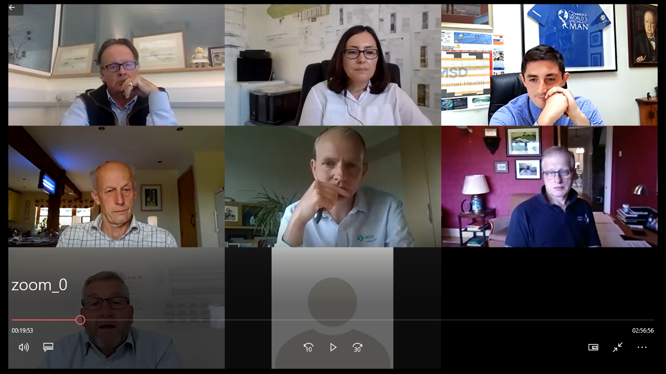 Round table discussion: Focus on red mite - Poultry News