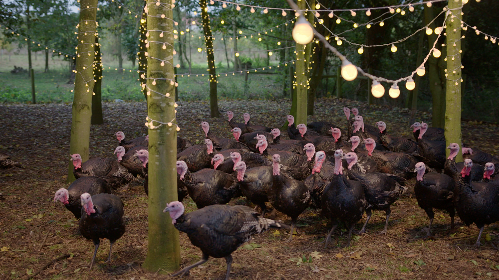 RSPCA Assured to run TV ad during Jamie Oliver Christmas show promoting ...