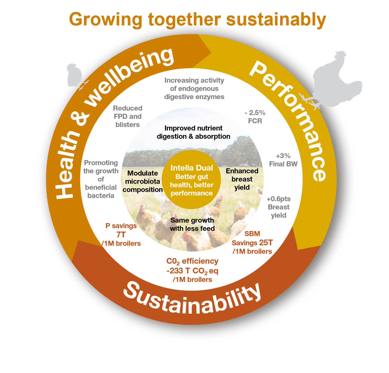 NEW INNOVATIONS SUPPORT GUT HEALTH, PERFORMANCE AND SUSTAINABILITY ...