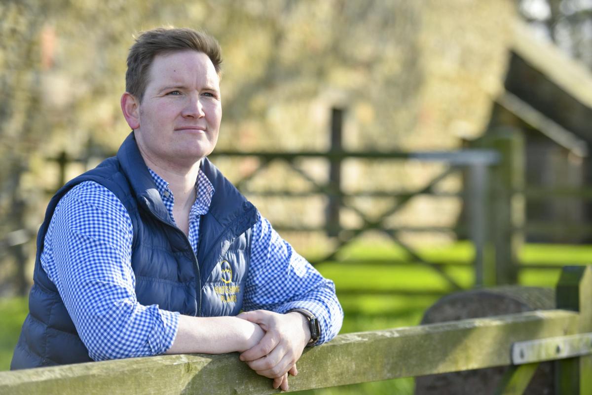 Facco to host first UK free range farm open day on 6 August - Poultry News