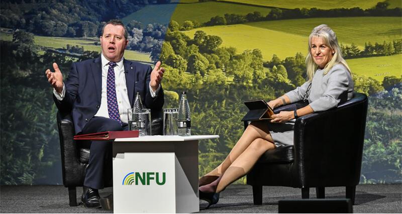 More support for abattoirs and seasonal worker scheme announced by ...