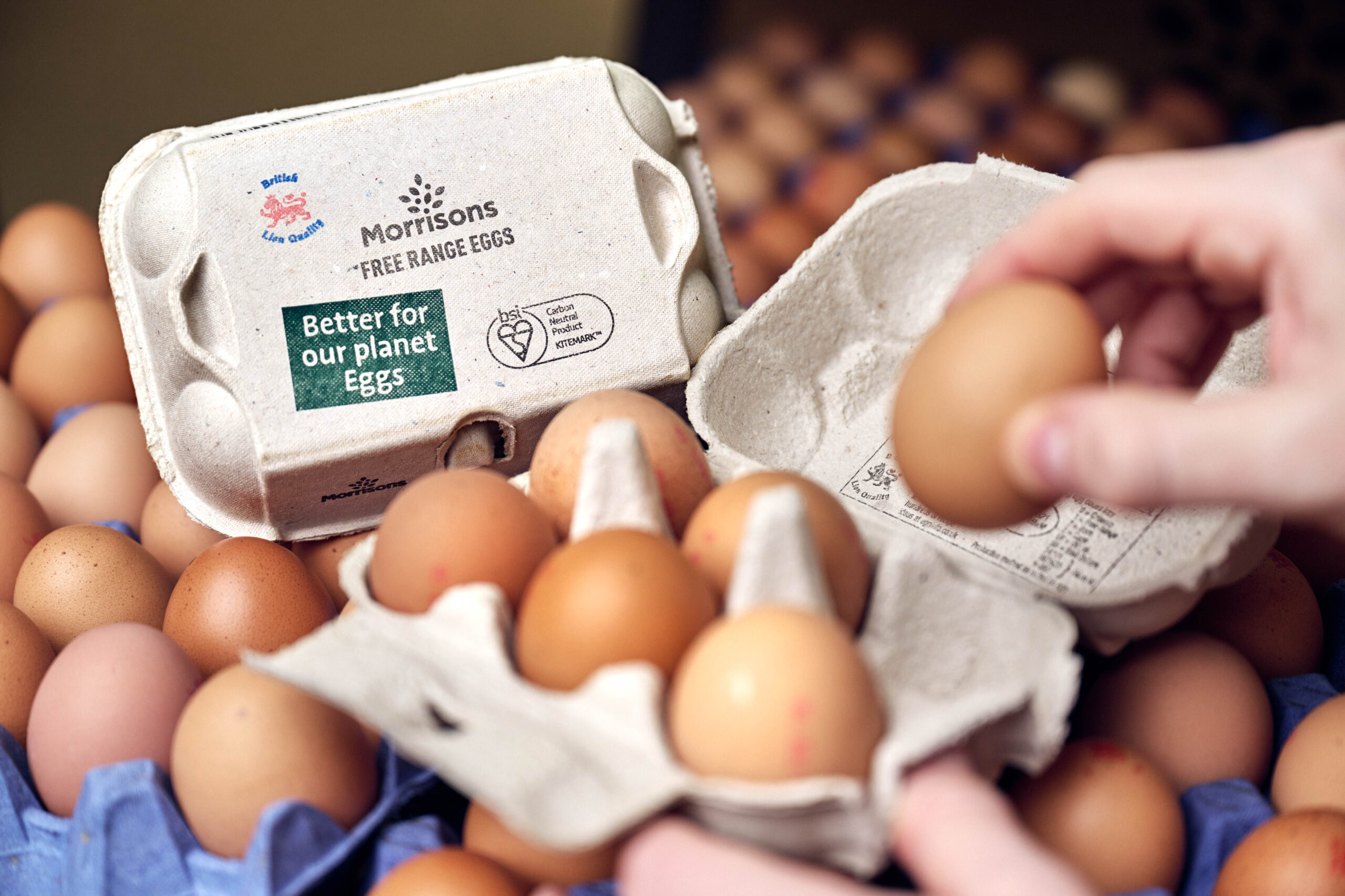 Carbon neutral certification awarded to Morrisons' eggs - Poultry News
