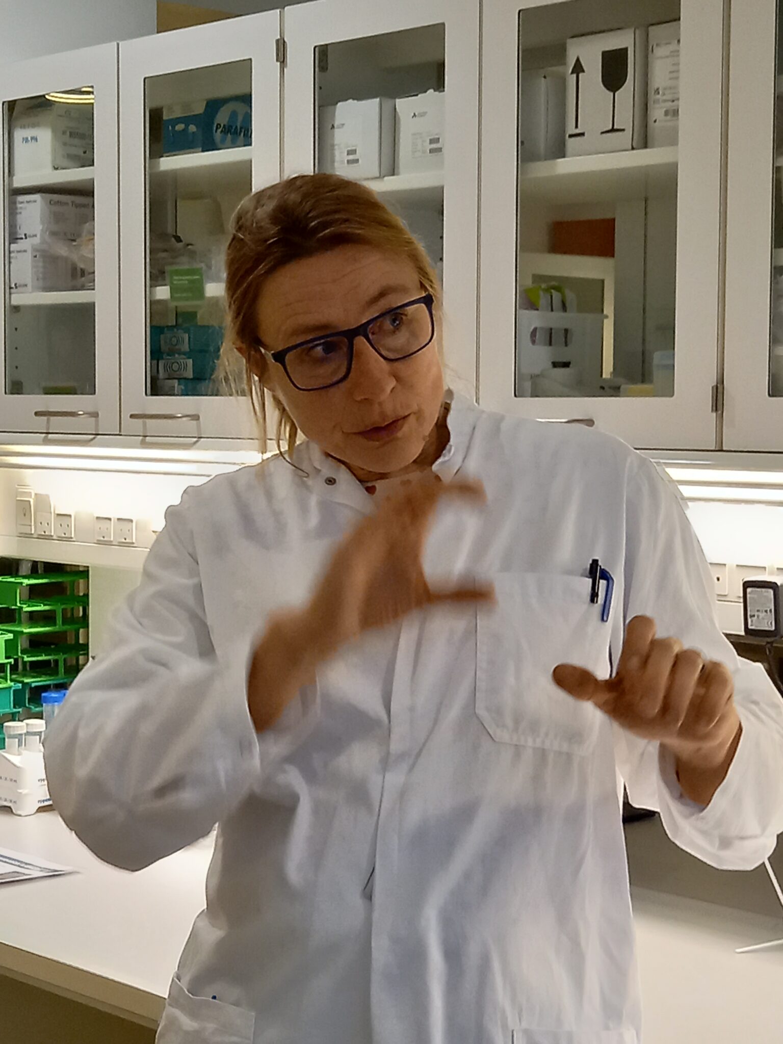 Gut feeling: inside the world of probiotics - Poultry News