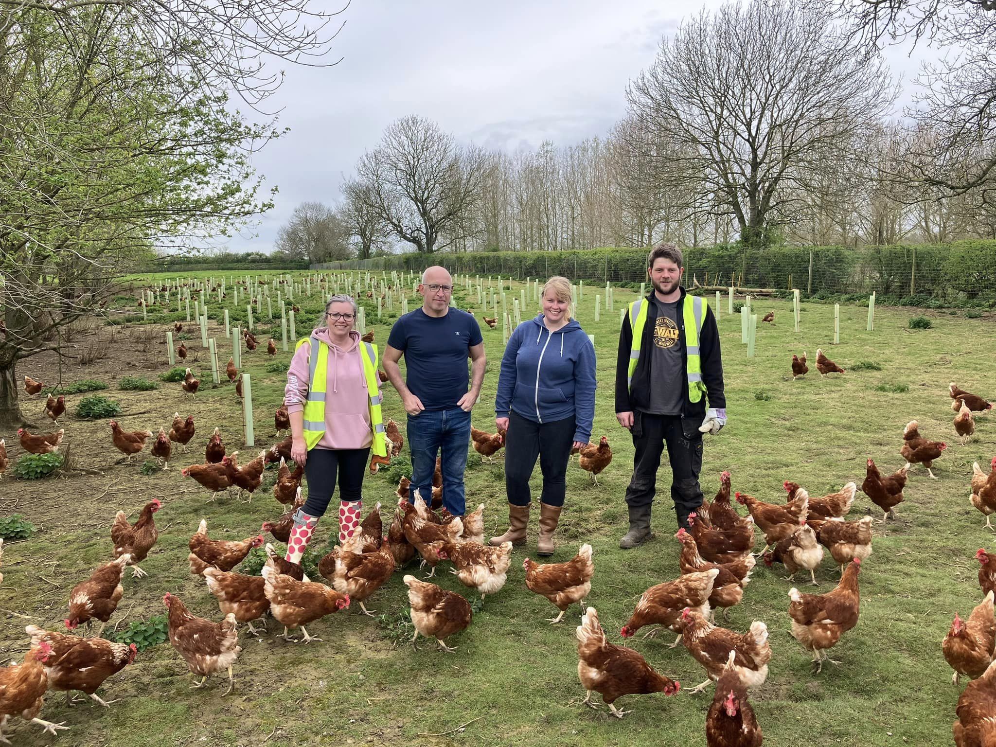 Noble Foods plants 950 trees on poultry farm - Poultry News