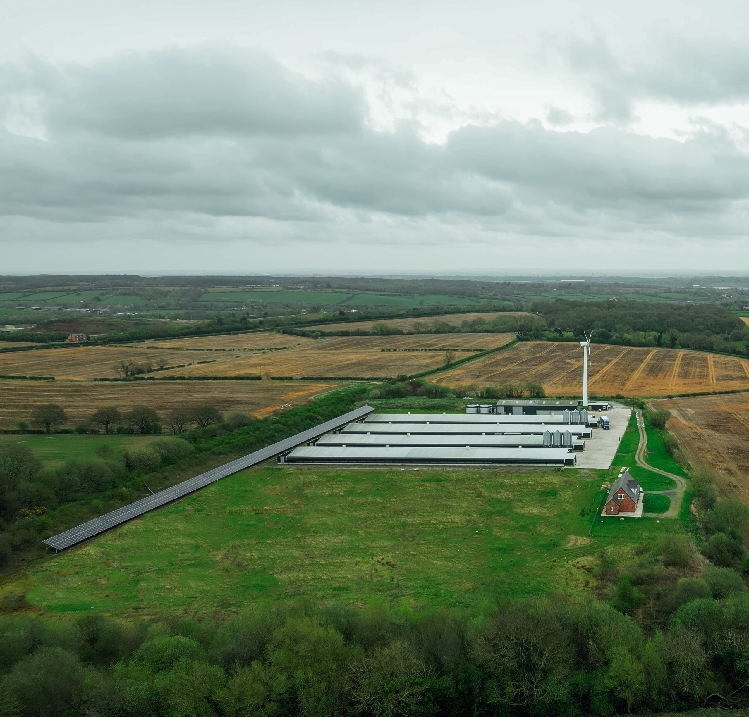 Turning to the sun – innovations in solar PV - Poultry News