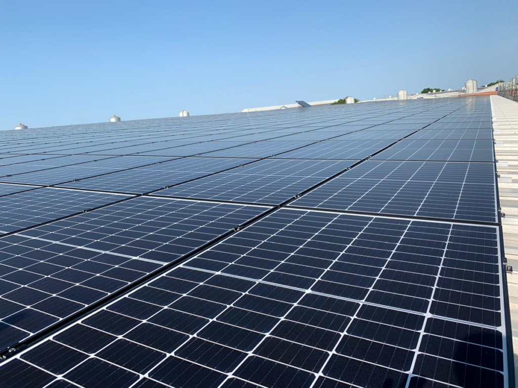 Bird Bros implements over £1million worth of sustainability measures ...