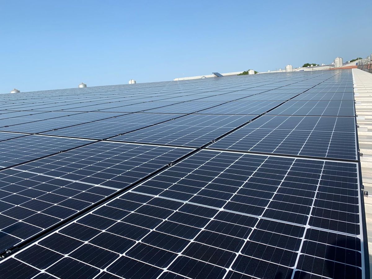 Bird Bros implements over £1million worth of sustainability measures ...