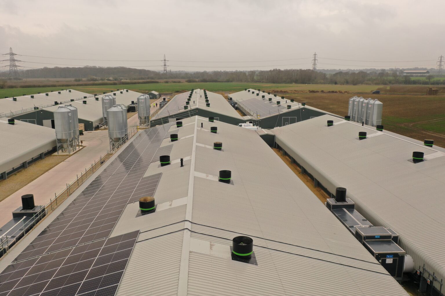 New state-of-the-art broiler site for Hook2Sisters - Poultry News