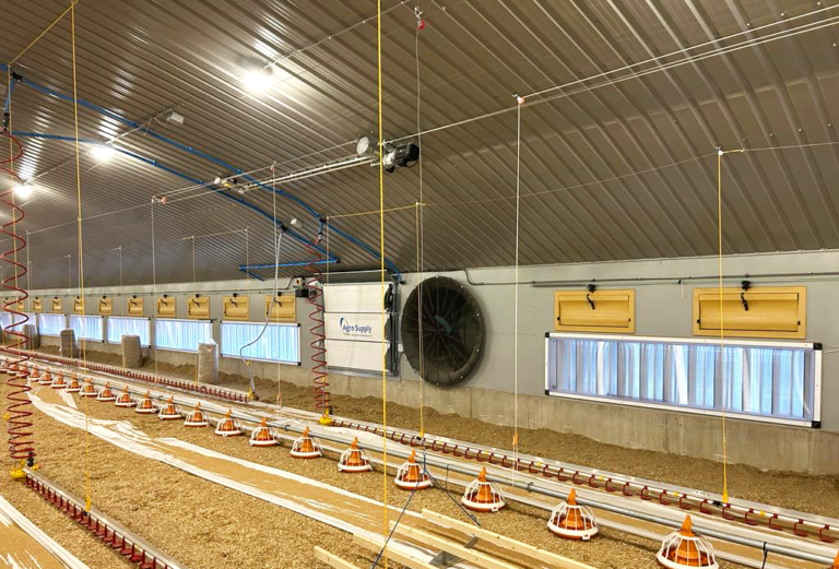 New state-of-the-art broiler site for Hook2Sisters - Poultry News