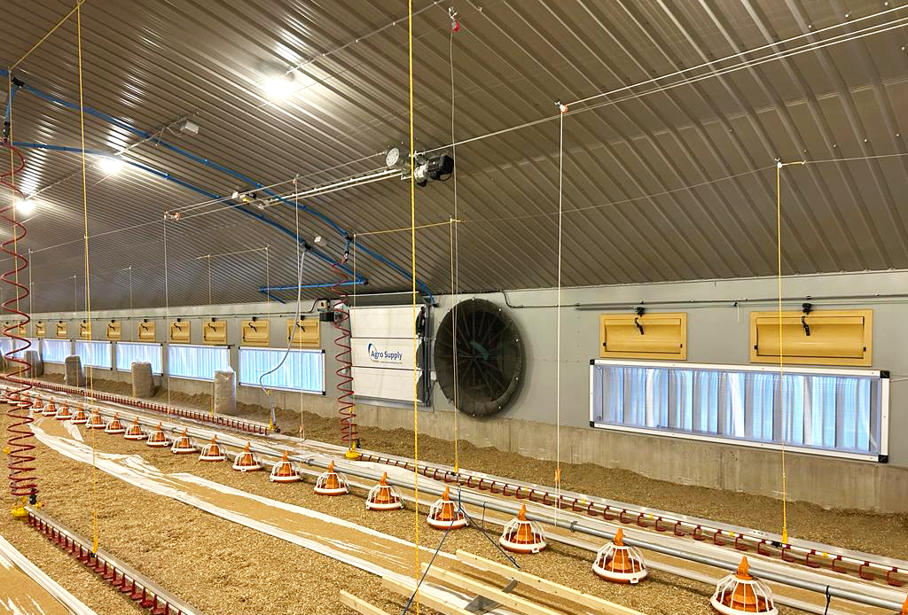 New state-of-the-art broiler site for Hook2Sisters - Poultry News