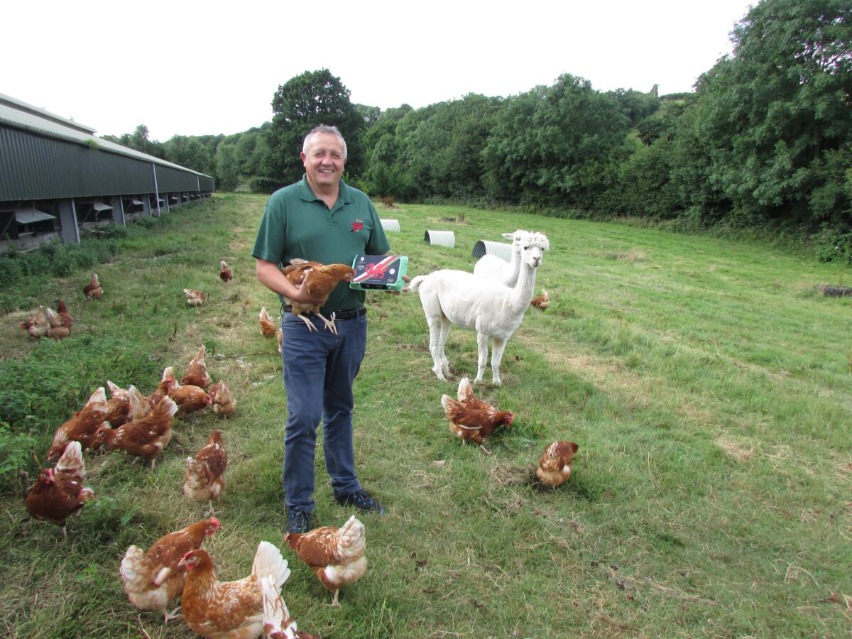Ellis Eggs sold to Welsh poultry farmer - Poultry News