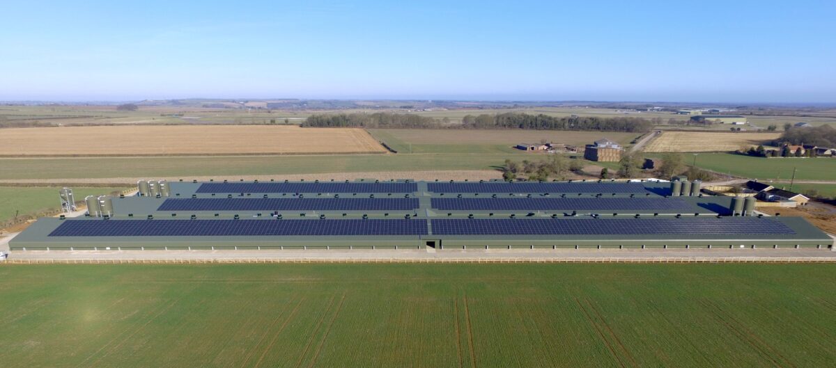 Inside Beech Farm, Barkston, a poultry farm with an eye on the future ...