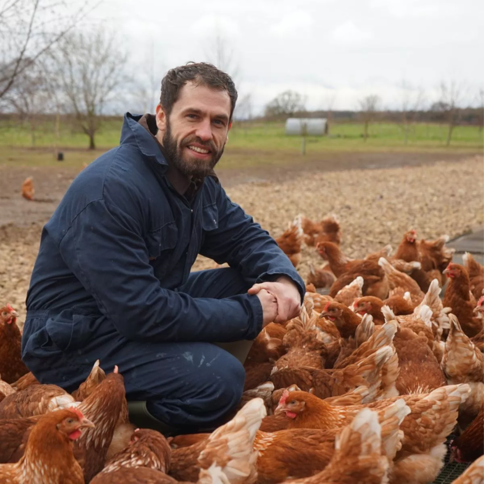 New marketing campaign for Noble Foods - Poultry News
