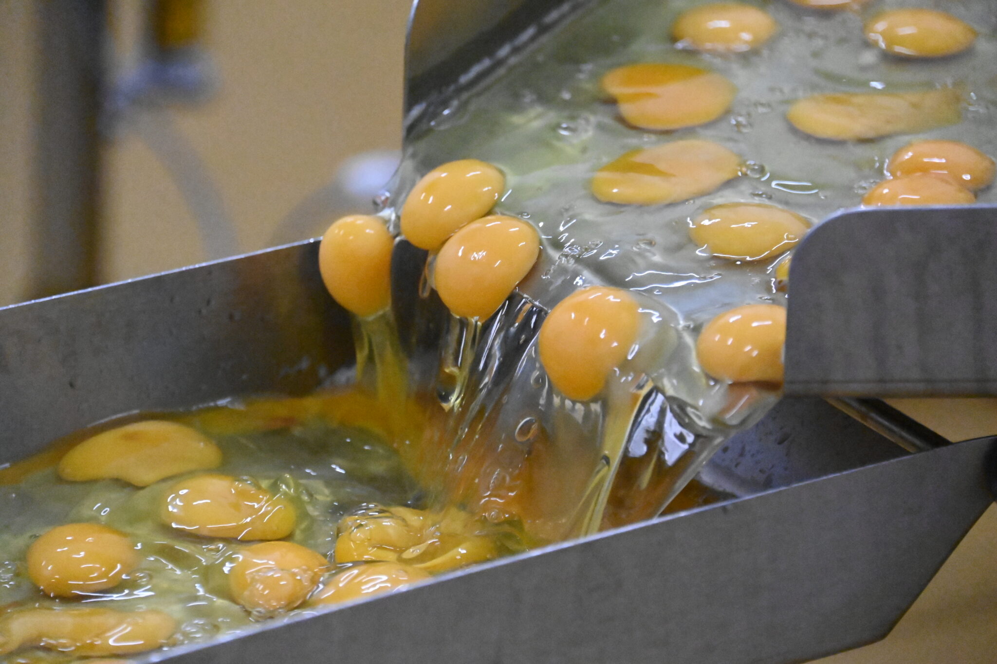 Accelerating from neutral - Poultry News