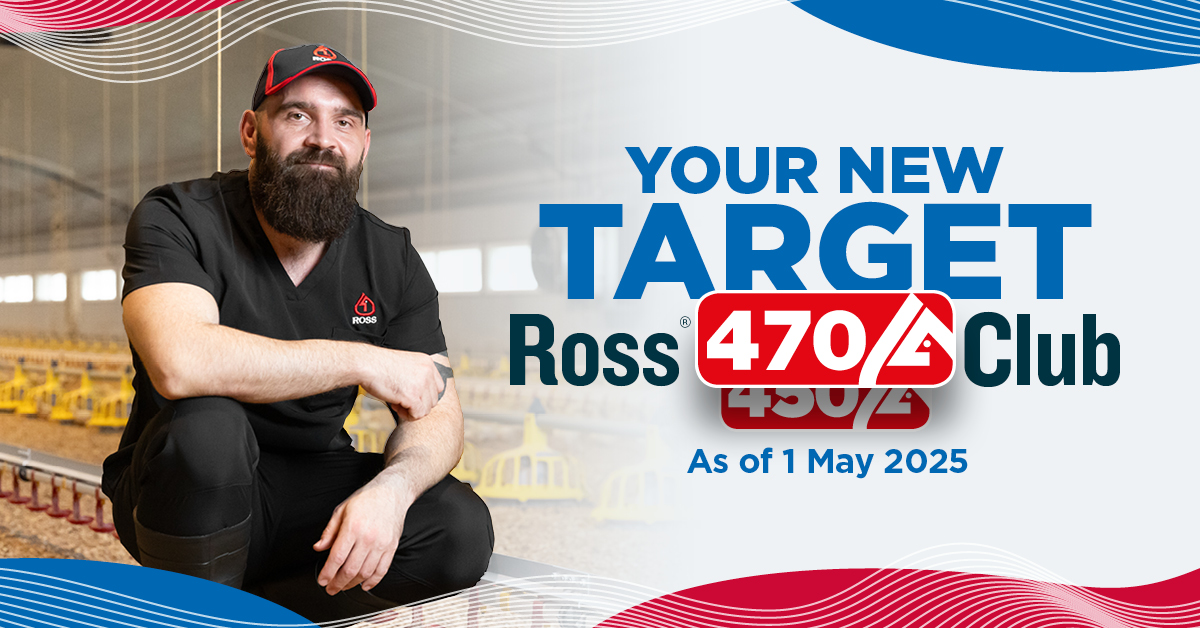 Aviagen introduces Ross 470 club - Poultry News