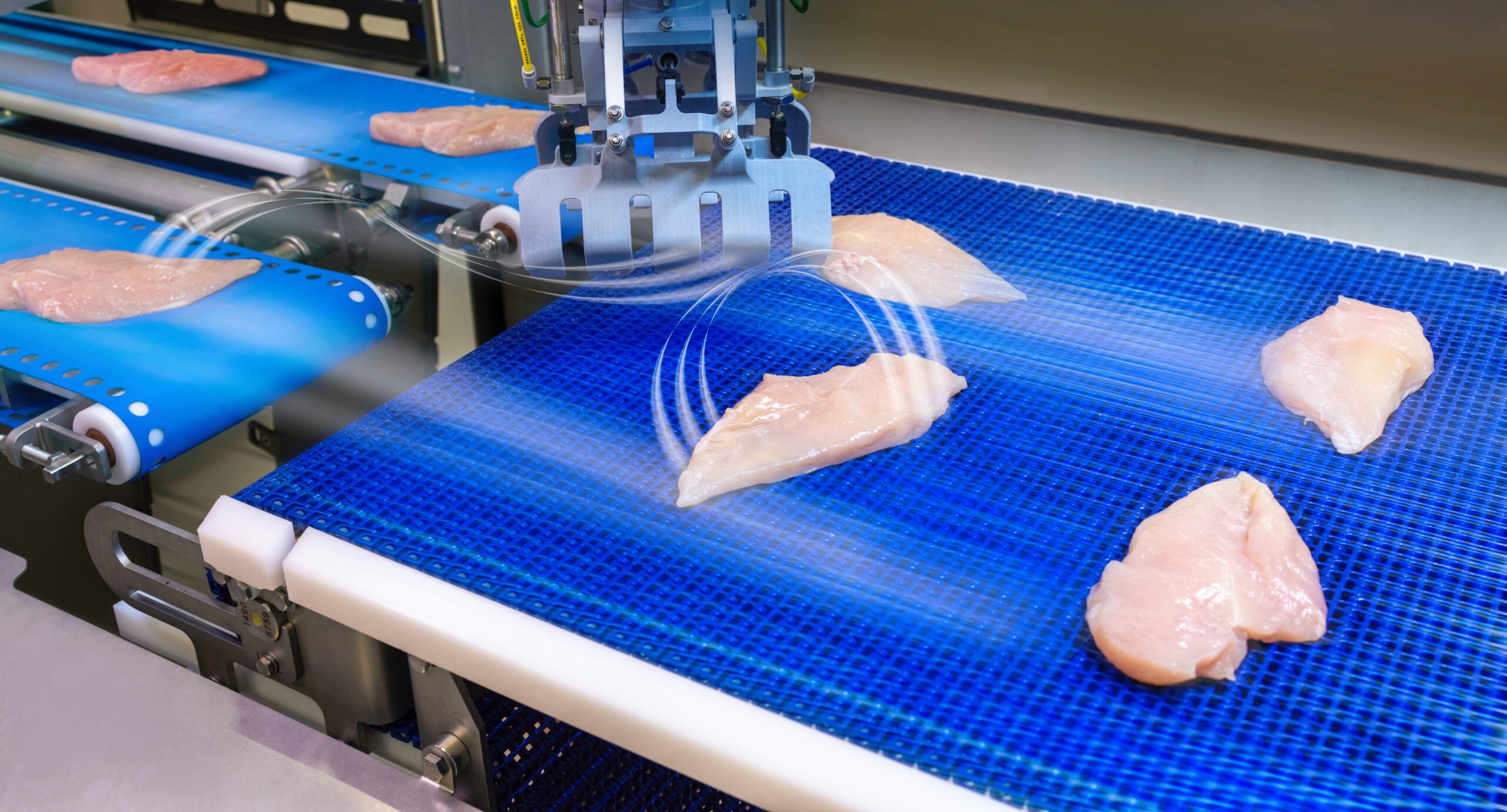 Labour-saving robot positions poultry products for precision cutting ...