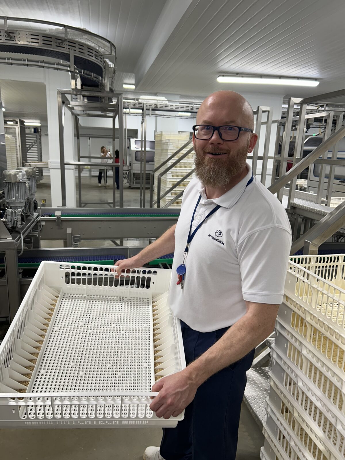 Inside Annyalla Chicks - Poultry News