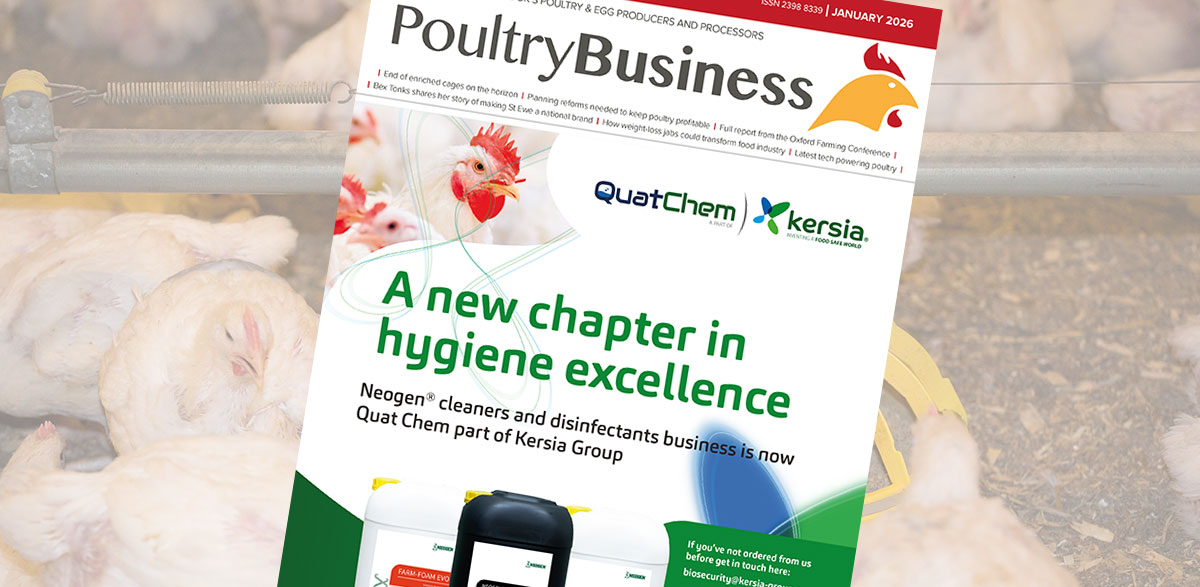 Poultry Business - January 2026 issue out now - Poultry News