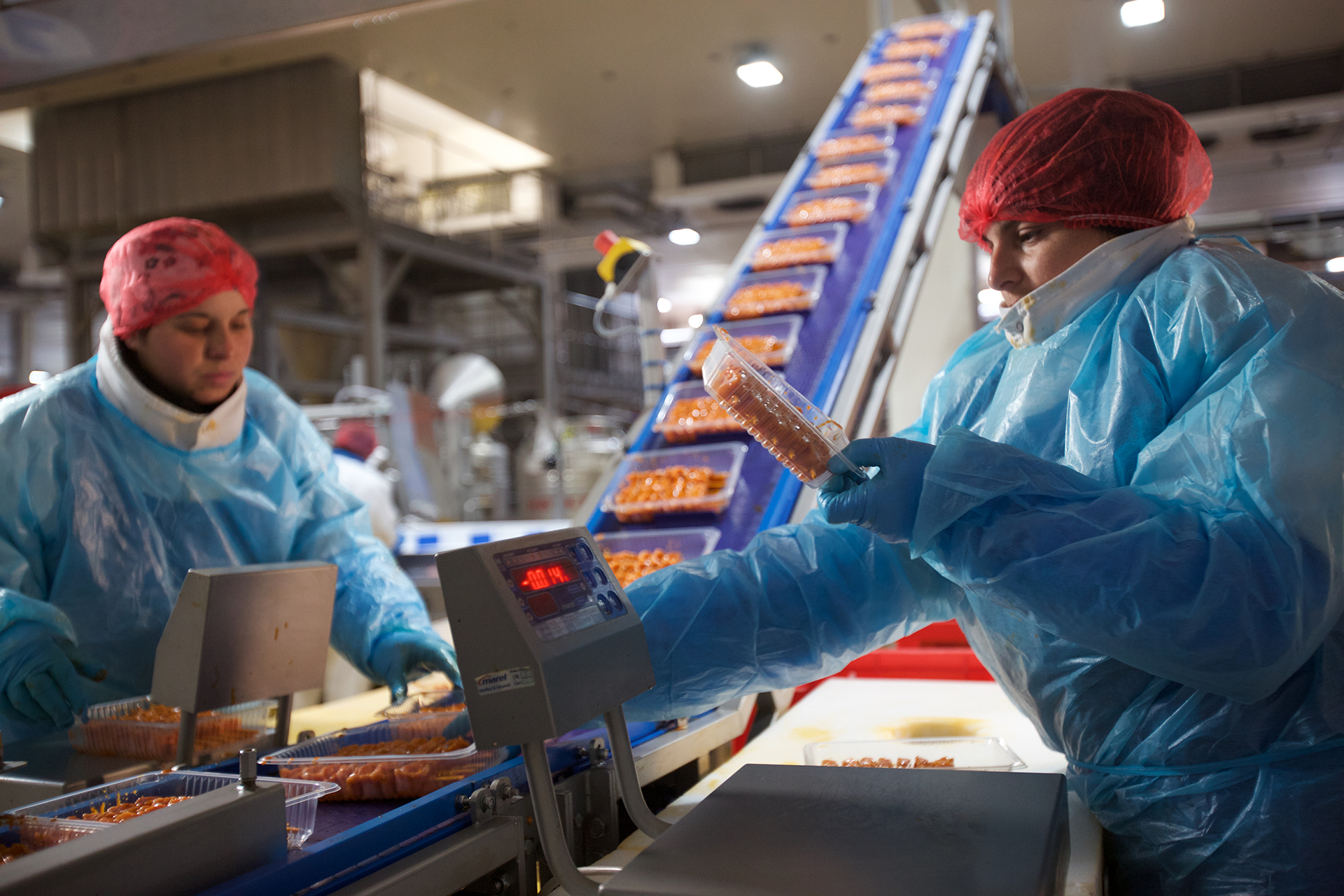 Boparan given clearance to acquire turkey business Heidemark - Poultry News